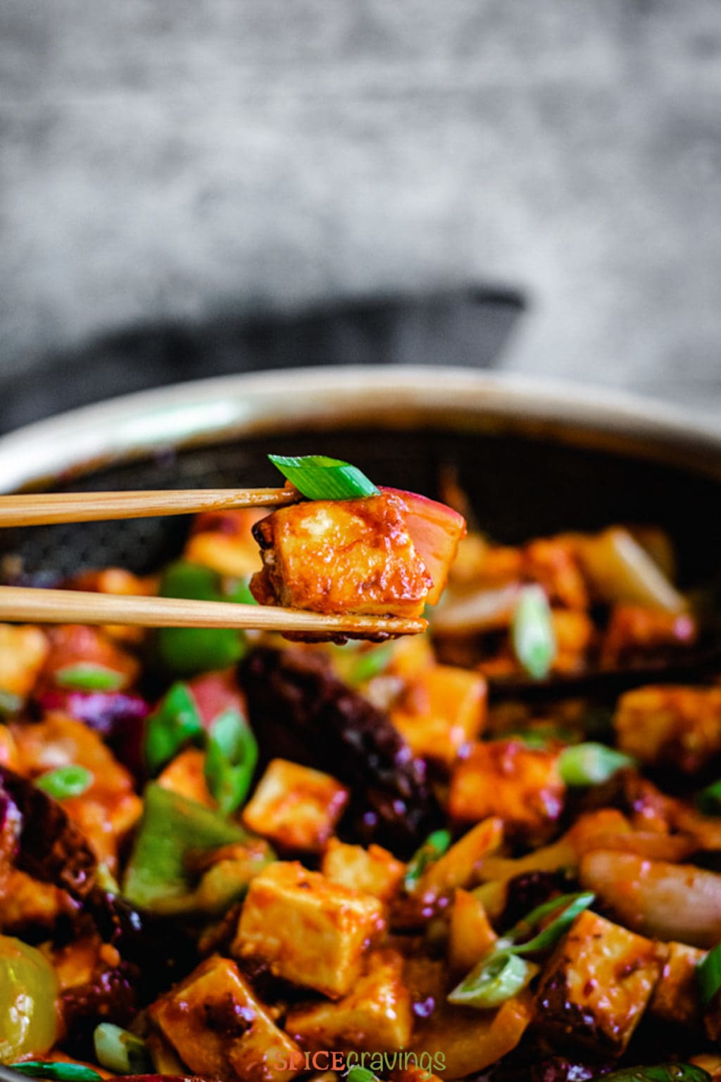 Chilli Paneer (Dry & Gravy) | Spice Cravings