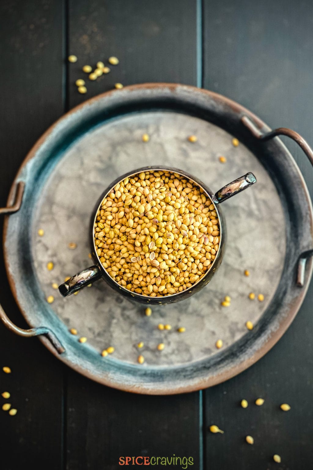 How to Make Coriander Powder (Ground Coriander) | Spice Cravings